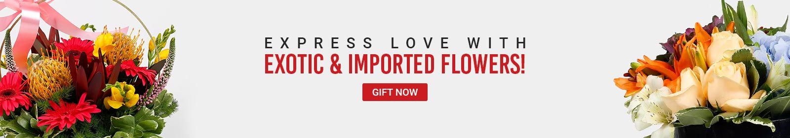 Flower Delivery Online | India's No.1 Florist - Ferns N Petals